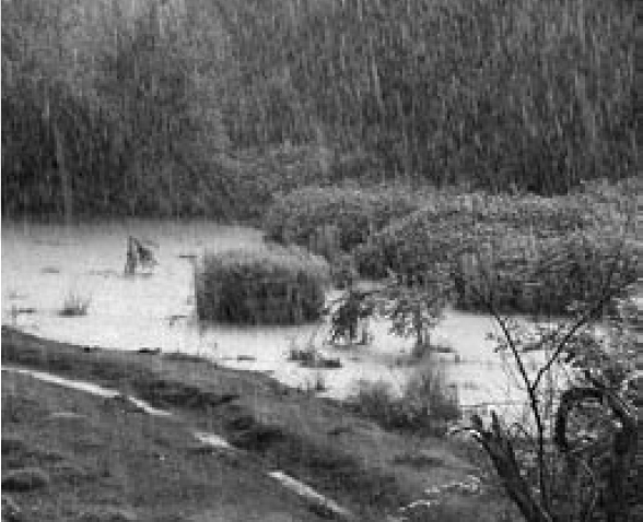 Brian Fagan – za co může podnebí - kulturní magazín Uni